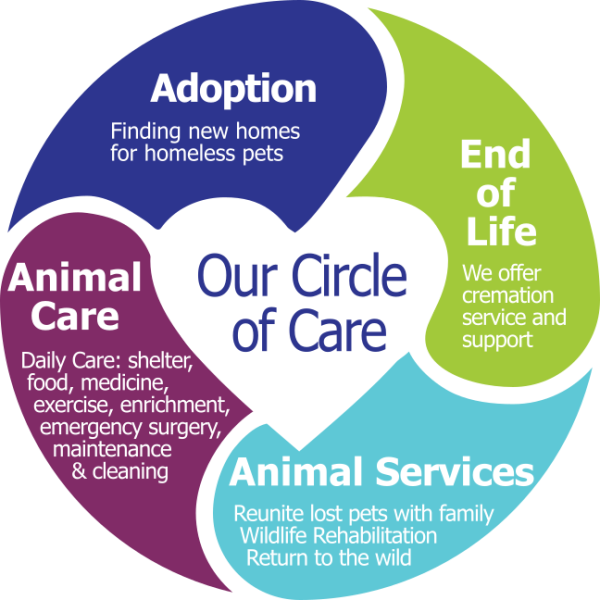 About Us - Cambridge & District Humane Society